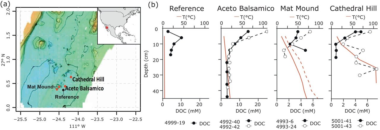 Natural oil seeps: Dissolved organic matter may persist in deep sea for ...