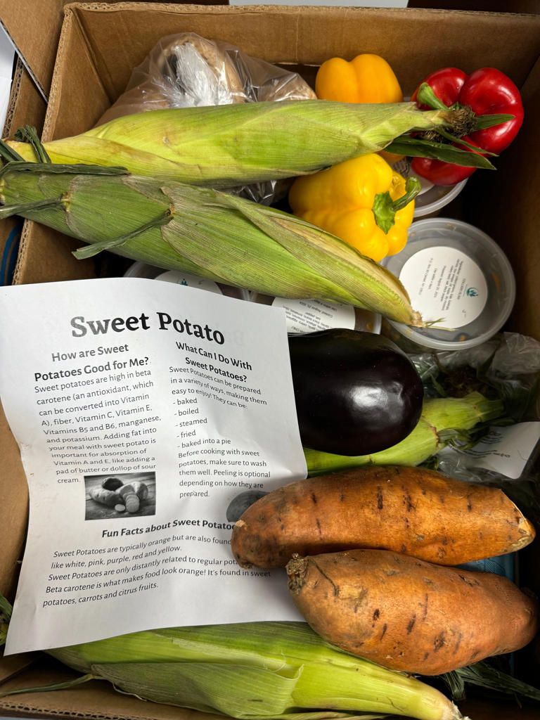 ‘A very tangible loss’: Local health projects across New York in limbo ...