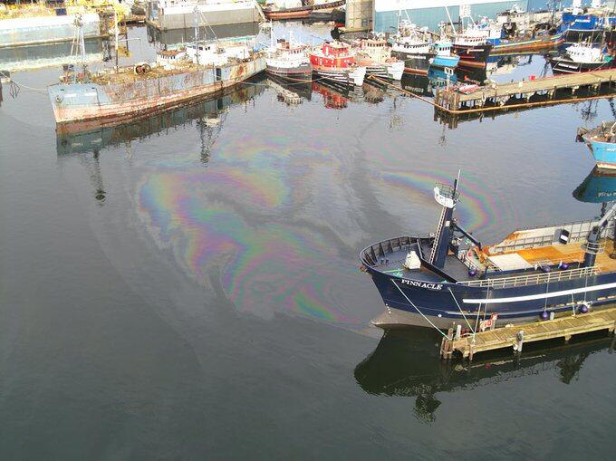 Diesel spills into Seattle's Salmon Bay