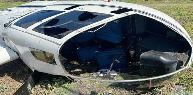 South Africa helicopter crash caused by penguin knocking controls