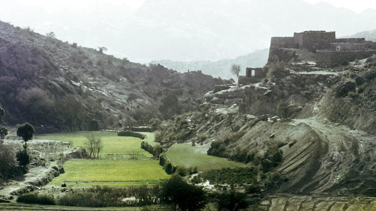 Does Loial die in The Wheel of Time books?