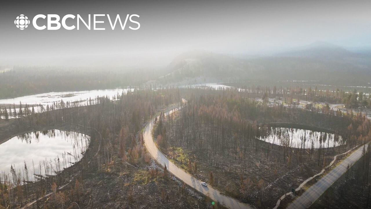 Here's how the 2025 wildfire season is looking right now