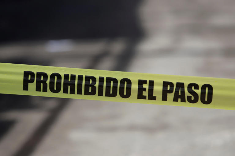 Identifican restos calcinados hallados dentro de un vehículo en Sinaloa; se trata de Estrella ...