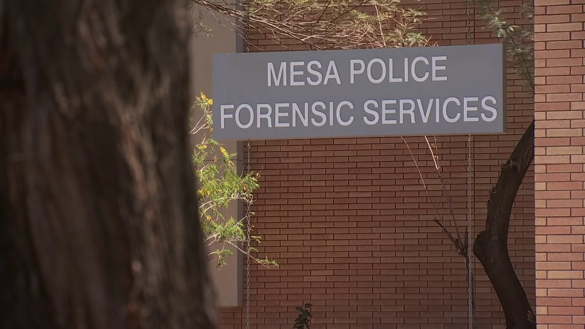 Mesa PD solved all murder cases in 2024; national average is only 58%