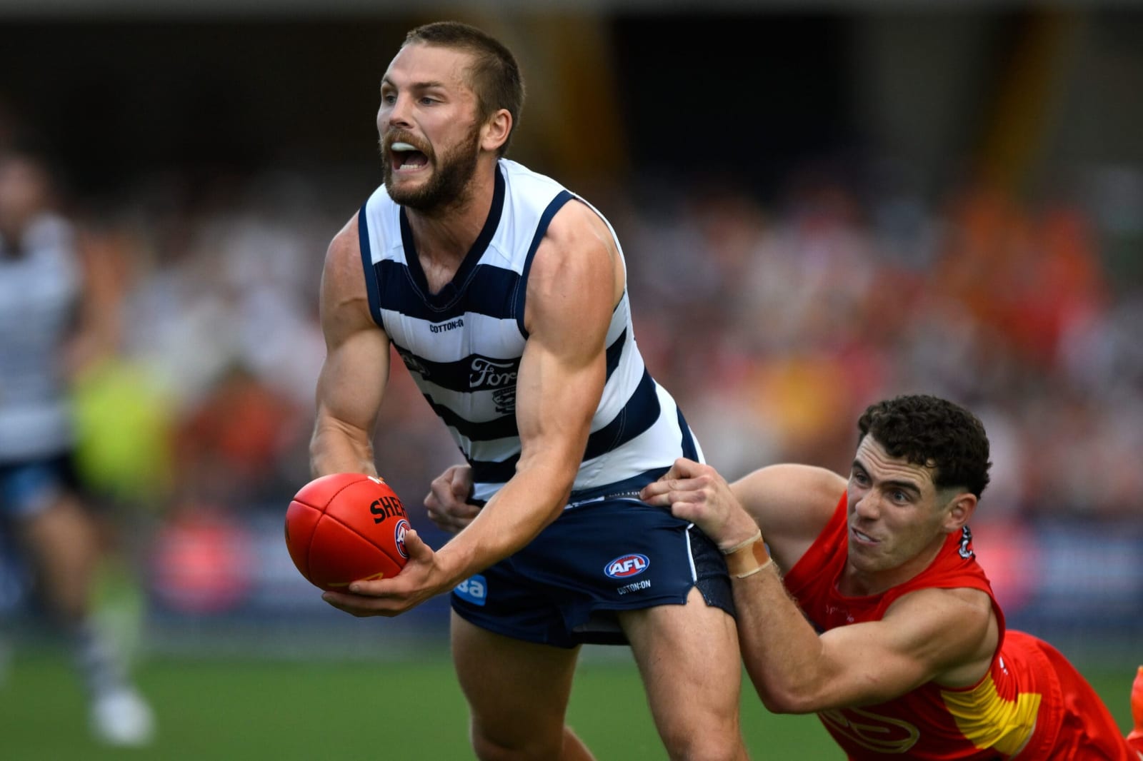 Geelong coach hails unsung Cats in comeback victory over Crows