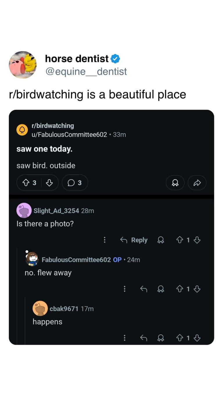 25 Funniest Tweets Of All Time From Thursday (April 10, 2025)