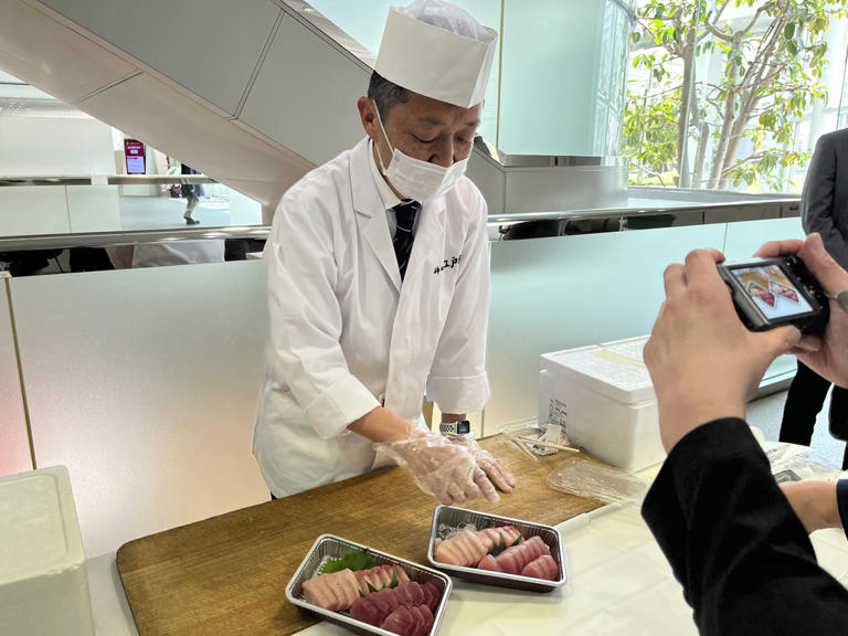 A machine using ultrasound and AI can gauge the fattiness of a tuna fish