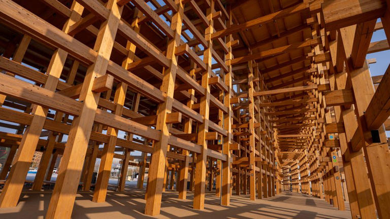 Architect Sou Fujimoto: Expo 2025 is ‘a precious opportunity to come ...