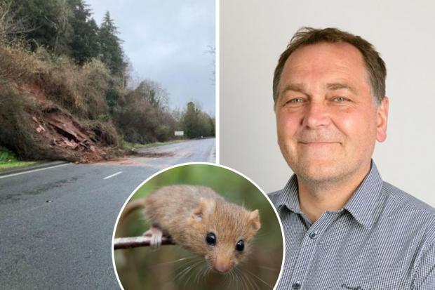 Dormice blamed for delays in reopening main road linking South Wales ...