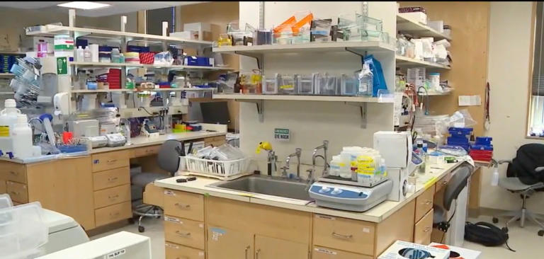 NY lab discovers pancreatic cancer breakthrough that can ‘intercept’ spread