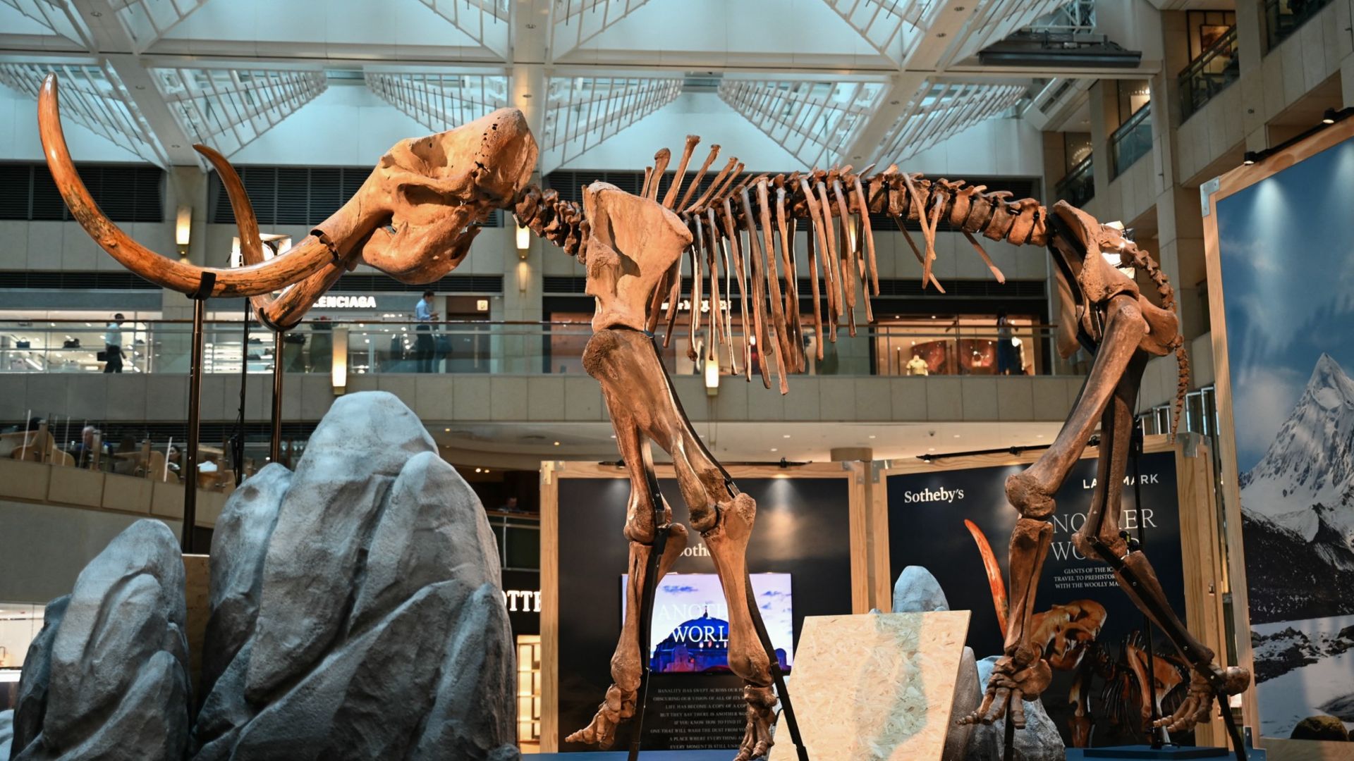 The dubious nature of de-extinction