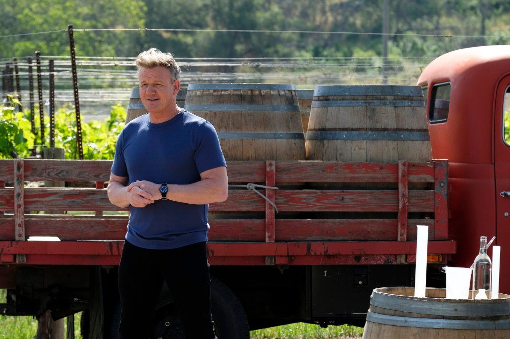 Gordon Ramsay Turns Undercover Chef In New Fox Series