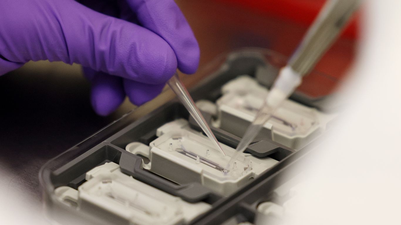 FDA plans to phase out animal testing requirements