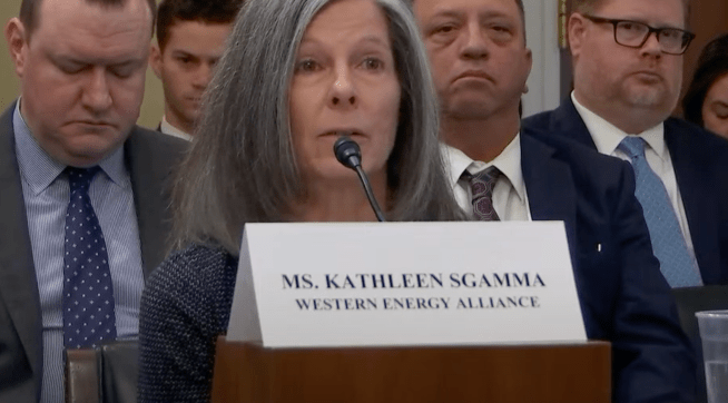 Cult Of Personality Has Strict Rules