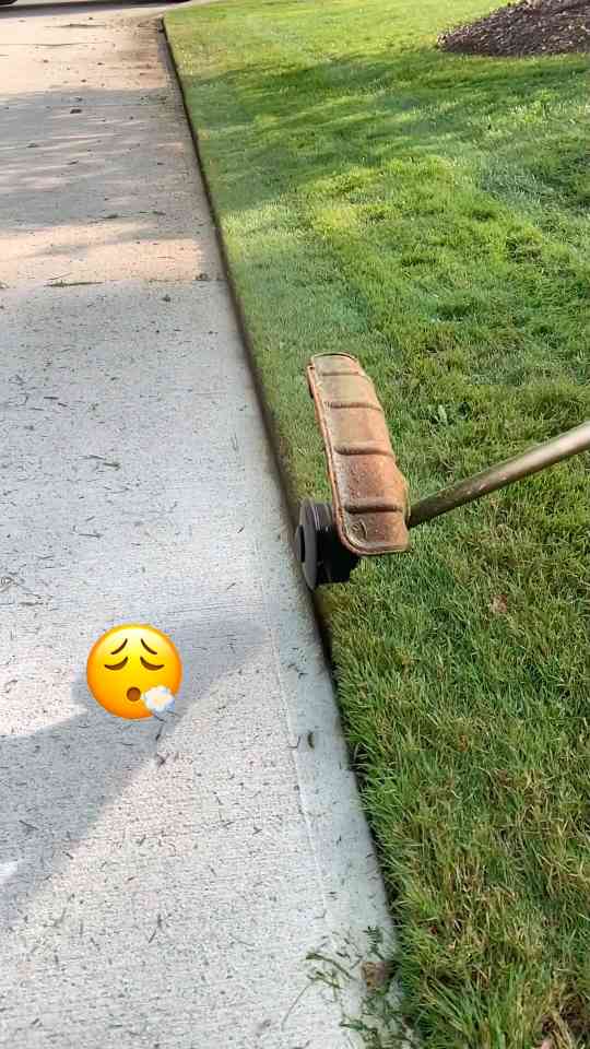 The Ultimate Guide to Shaping Your Bushes for a Neat Garden