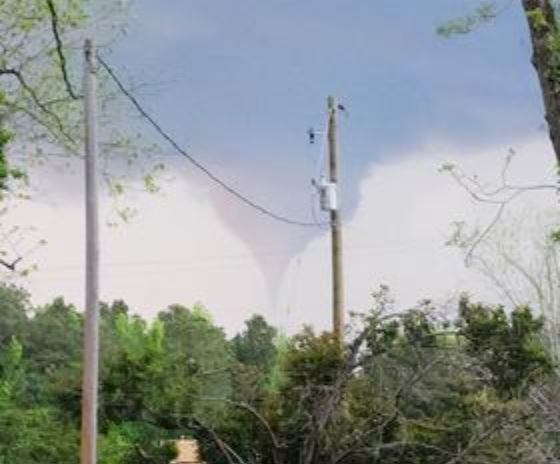 NWS translation services reinstated after contract lapse