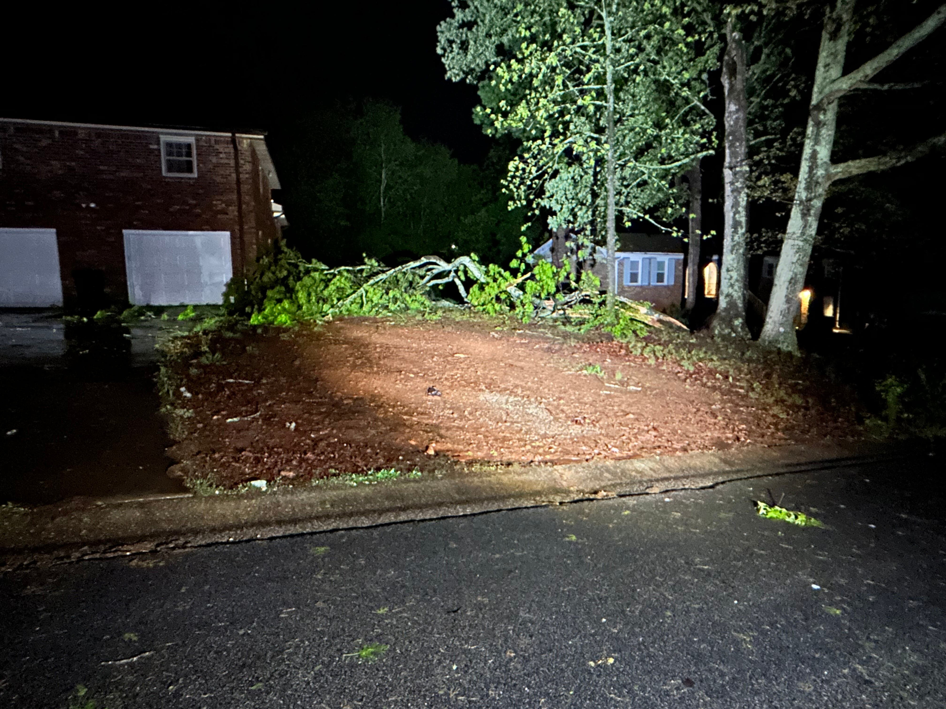 Severe weather batters North Georgia, downing trees, dumping hail