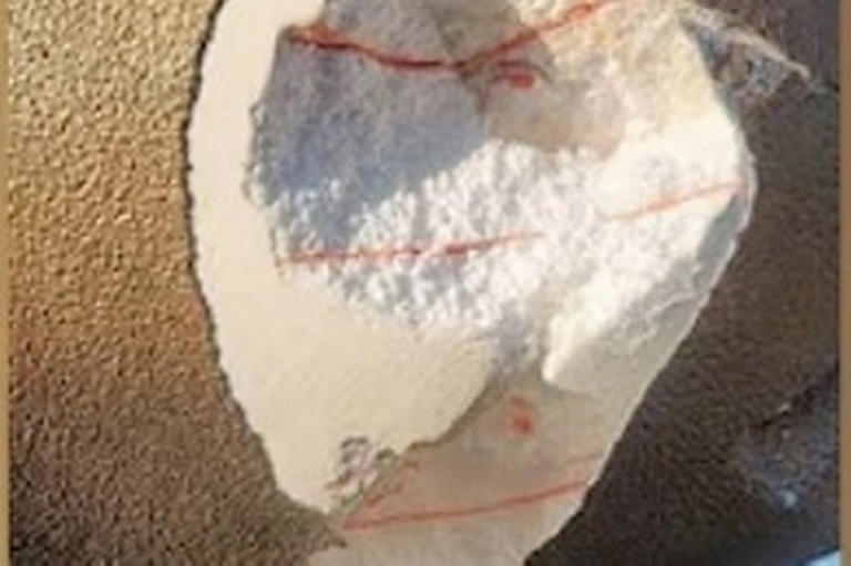 12ft Texas sculpture of Elon Musk's head 'destroyed' after eyes gouged ...