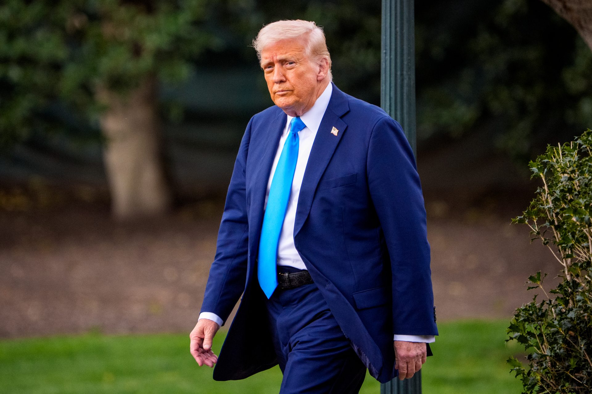 Trump in trouble: Latest polls reveal sharp decline in support
