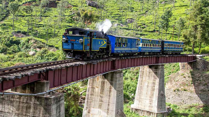COONOOR, TAMIL NADU – RELAX AMIDST LUSH GREENERY AND SERENITY