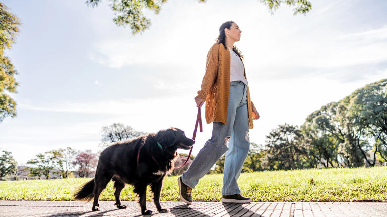 I increased my step count back to 10,000 a day after time off—here’s ...