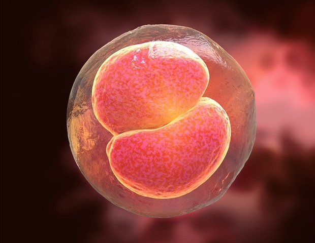Small Hatching Embryo may Improve the Chances of IVF Success