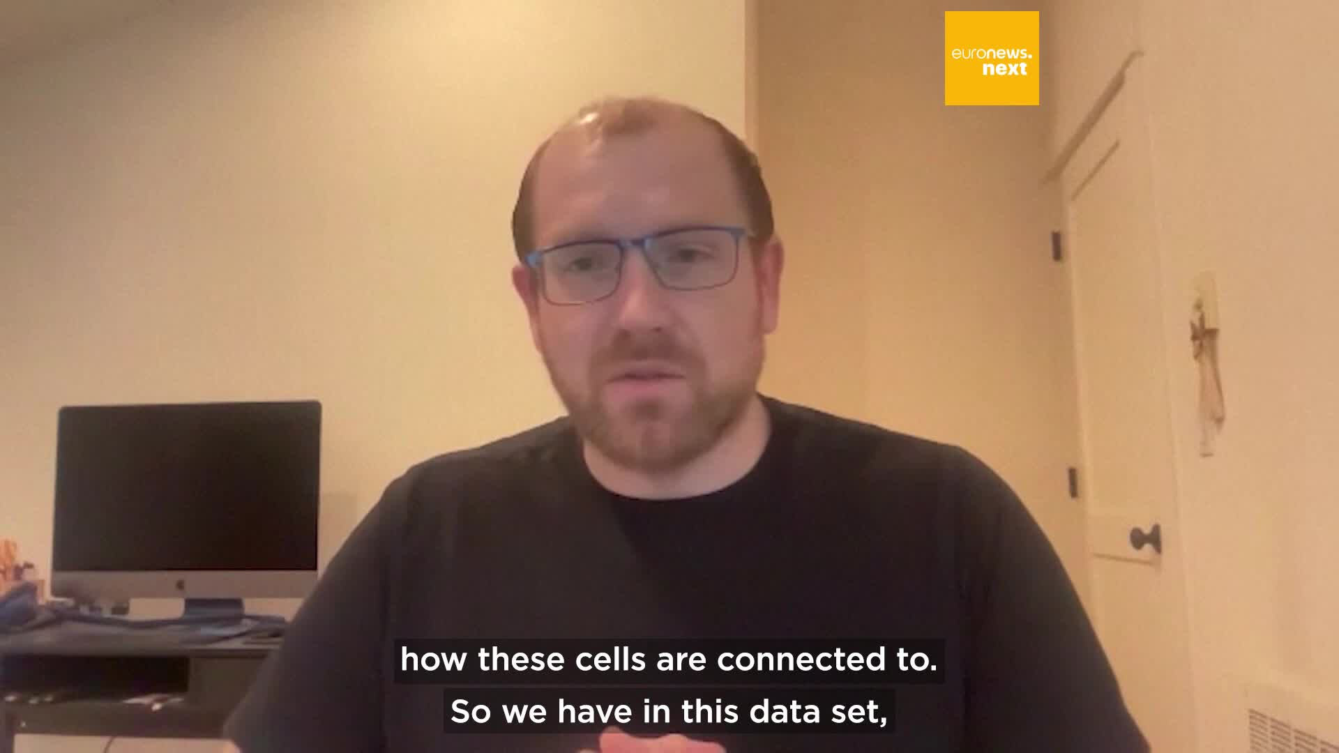 Scientists produce complex map of mouse's brain that could unravel ...