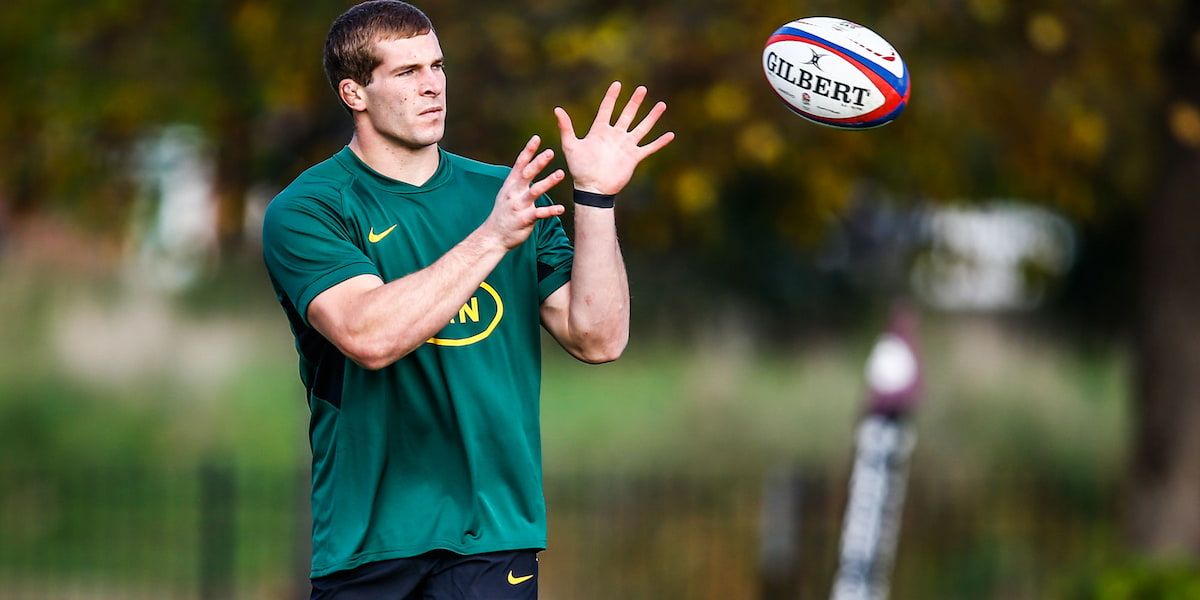 Springboks: Major injury worry emerges