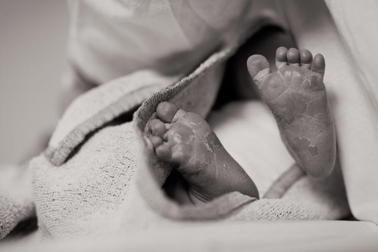 Australian IVF clinic admits embryo mix-up