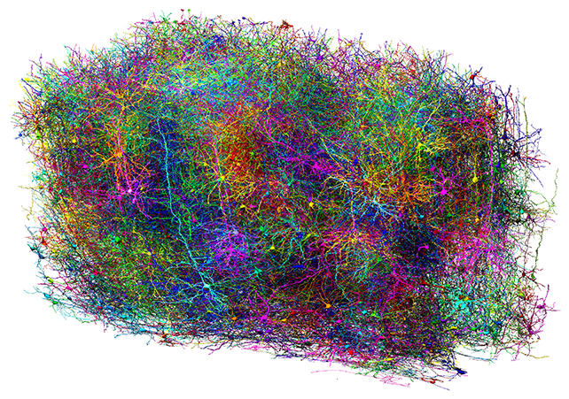 A Tiny Piece of Mouse Brain Has Finally Been Mapped in Mindblowing Detail