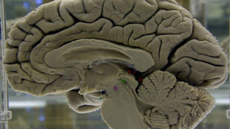 AKTU One View Result 2025 Declared For UG, PG Semester Exams; Get ...