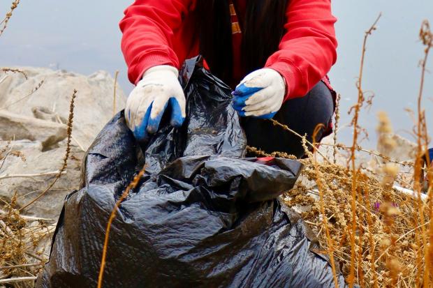Litter pickers fill over 200 bags of rubbish in three weeks to clean up ...