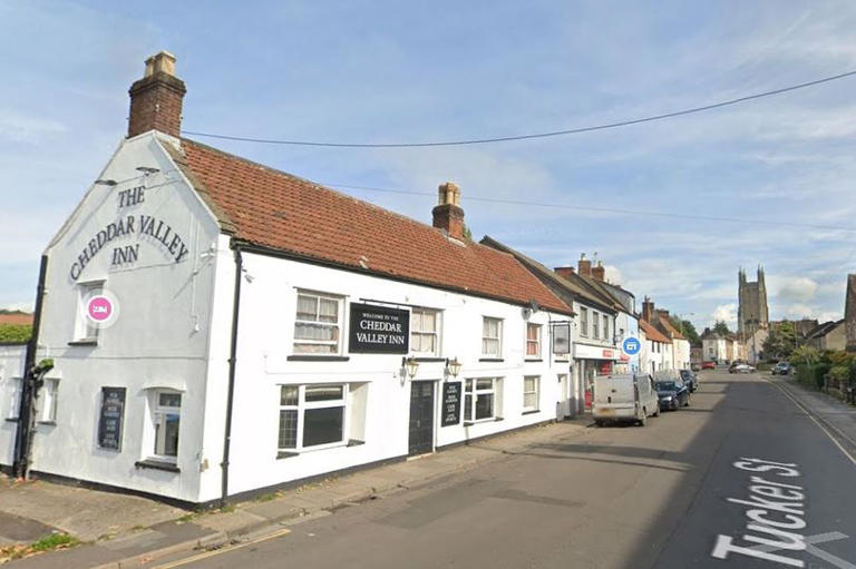 Somerset pub could be closing for good and turning into homes