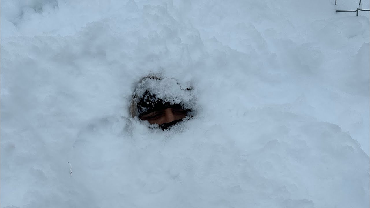 I hide by burying myself in snow to surprise my dogs