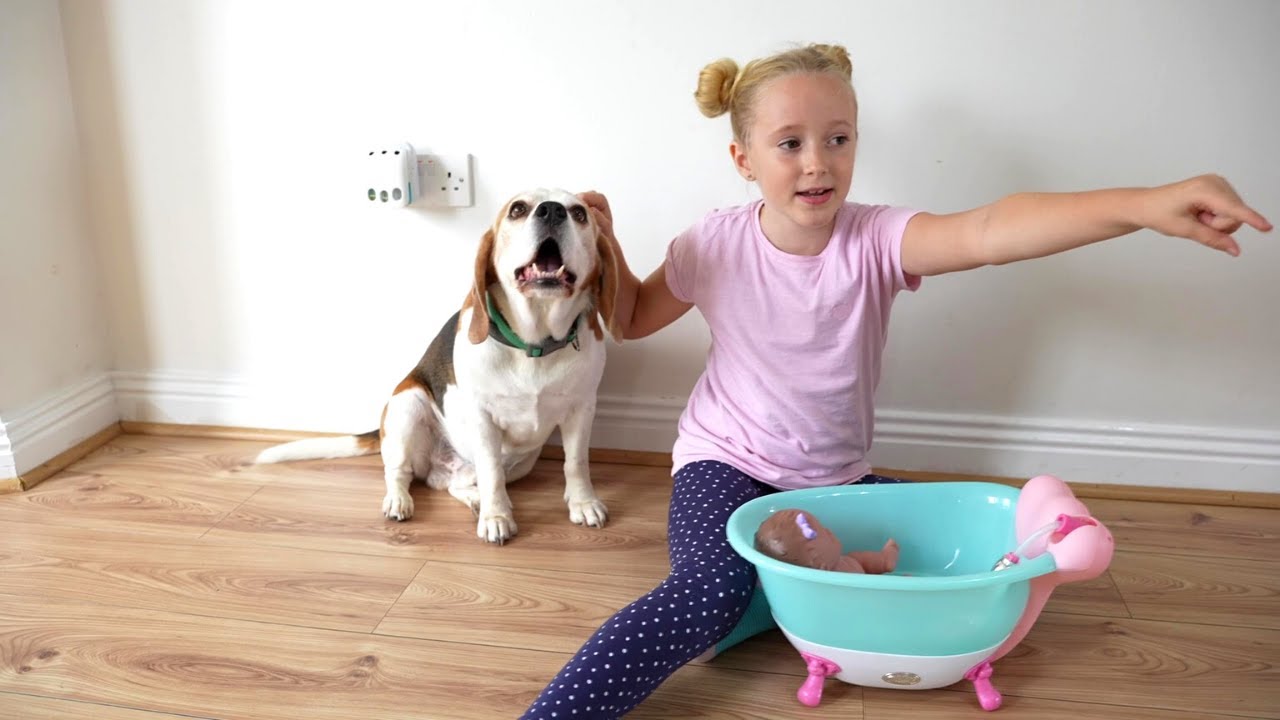 Cute beagle helps little girl bathe her baby doll