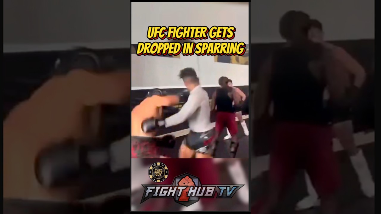 UFC Fighter Kevin Lee Takes Brutal Knockdown During Intense Sparring ...