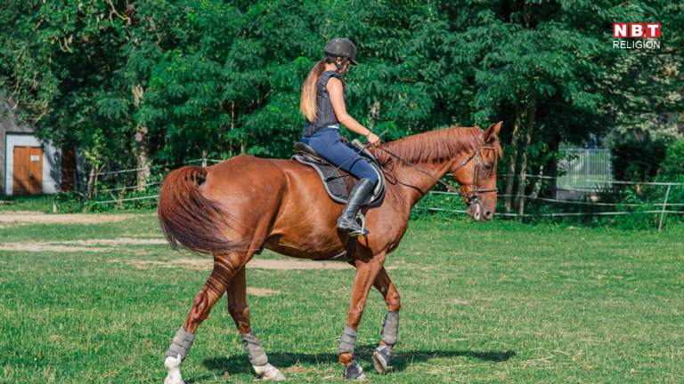 Dreaming of Riding Meaning : सपने में घोड़े, हाथी की सवारी करने का क्या ...