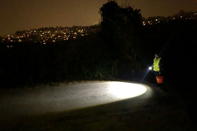 Thousands of toads helped cross Bath road as milestone reached