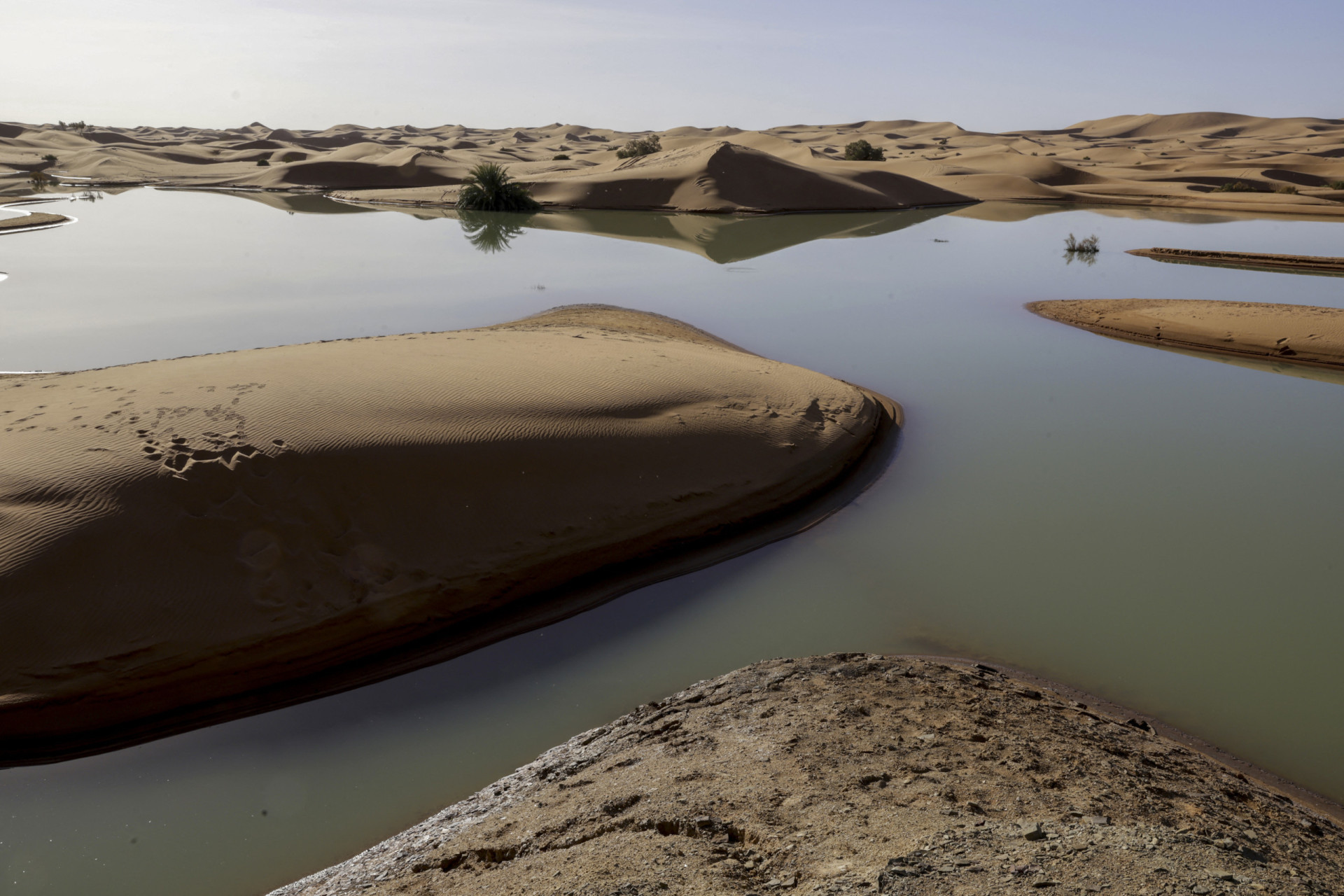 Het regent in de Sahara: het einde van 's werelds grootste zandwoestijn?