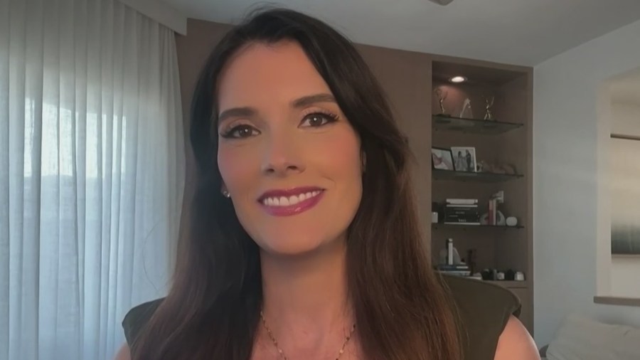 Is Elon Musk’s DOGE running out of steam?