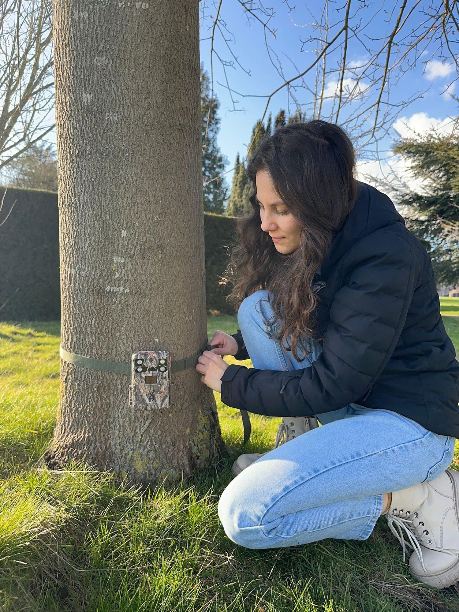 People with trail cameras needed for hedgehog conservation study