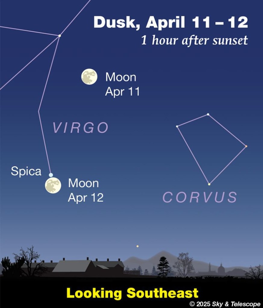 How to see the pink moon and blue giant star this shining this weekend