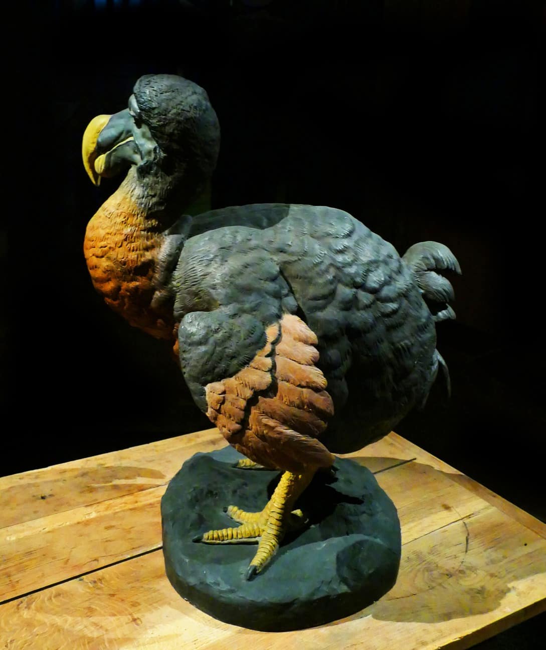 Hatching the Dodo: How science is bringing back lost species