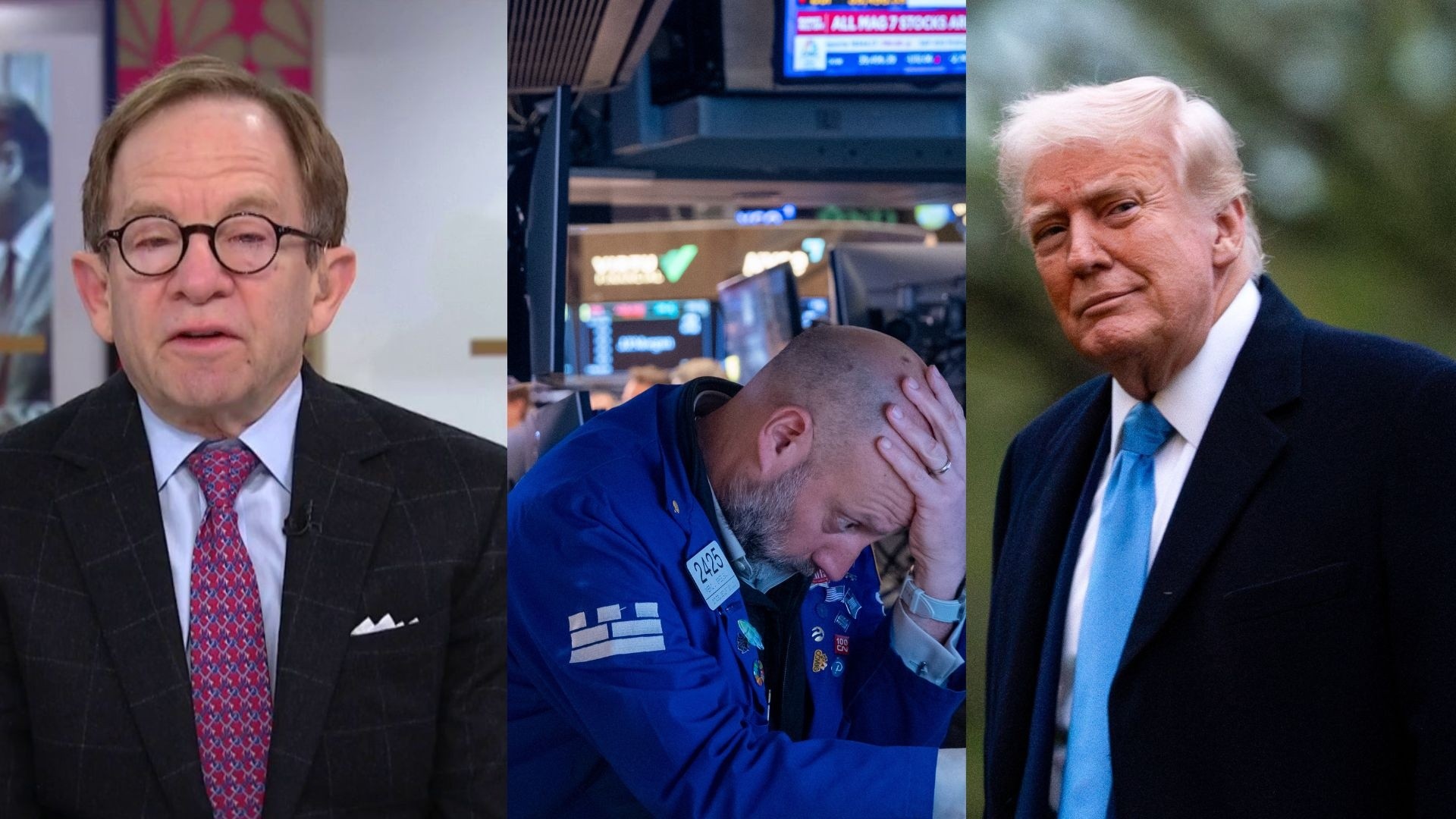 'My border collie could do a better job': Steve Rattner slams 'worst ...