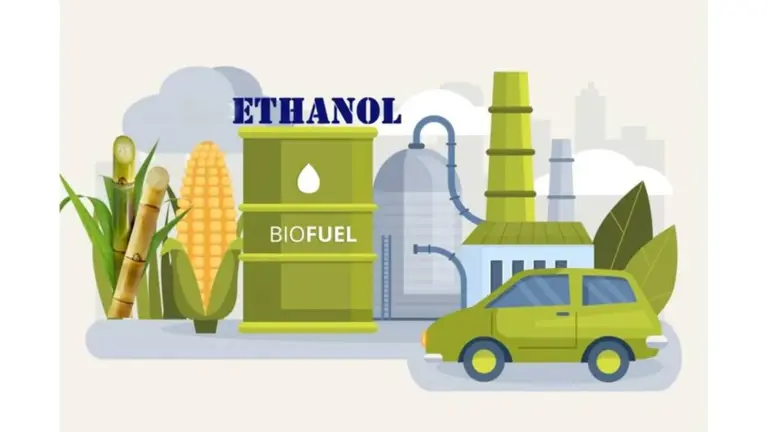 Driving change – Flex fuels and grain ethanol to power India’s green future