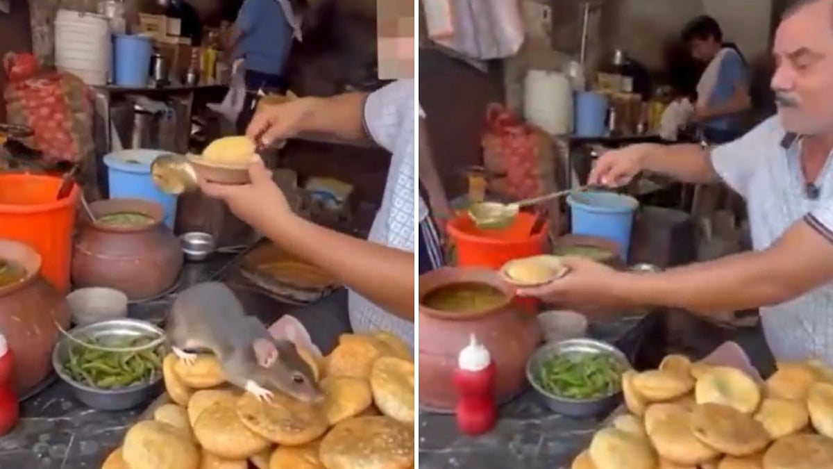 Fact-Check: AI-Generated Video Of Rats Crawling On Food Misleads ...