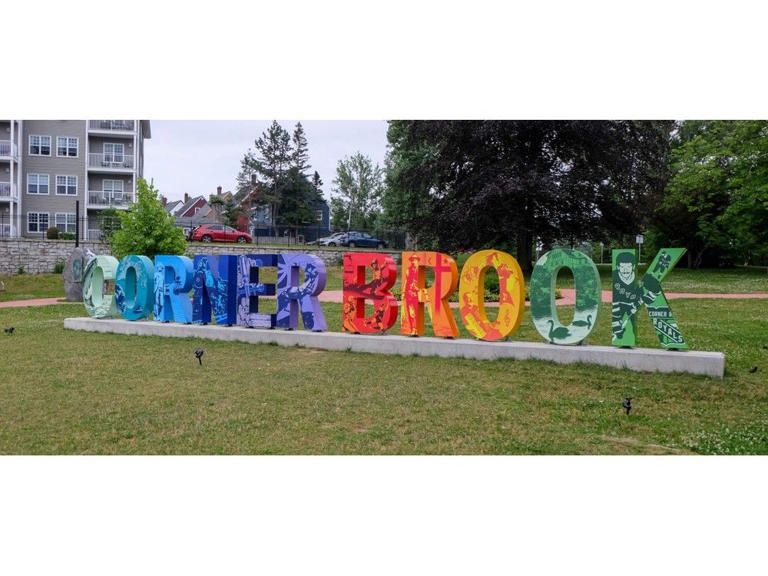 More housing, agriculture options: What's in Corner Brook's new ...