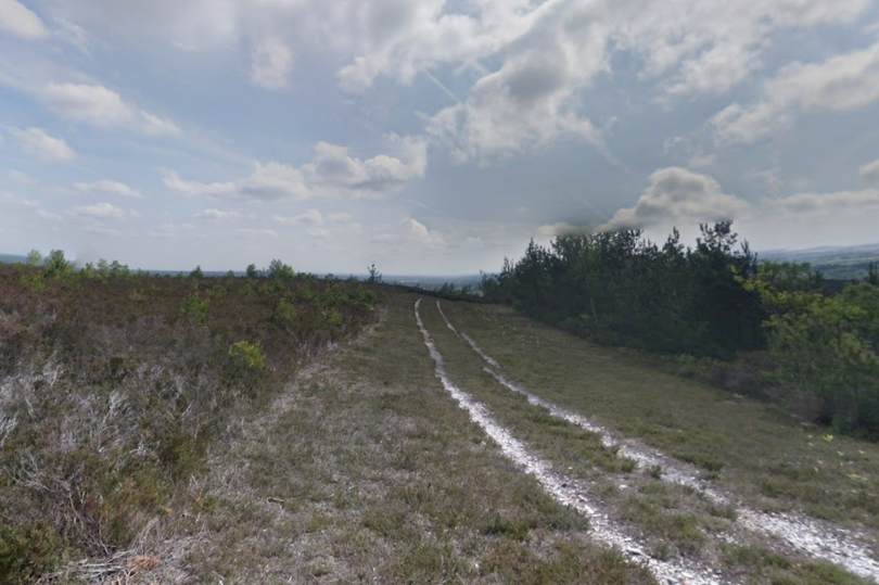 Surrey firefighters issue warning after Ash Ranges wildfire that ...