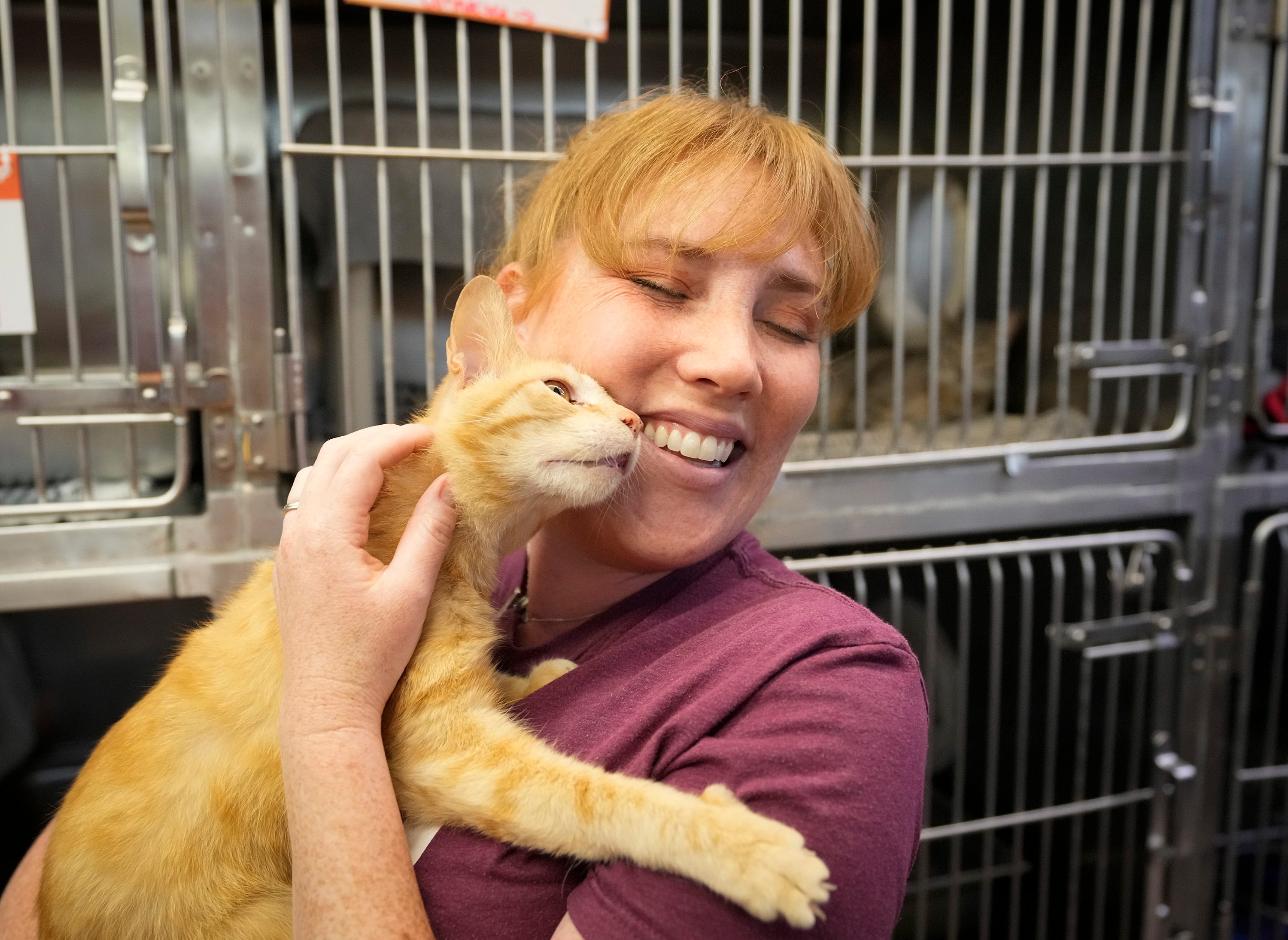 It's National Adopt a Shelter Pet Day. Tips and stories of love from ...