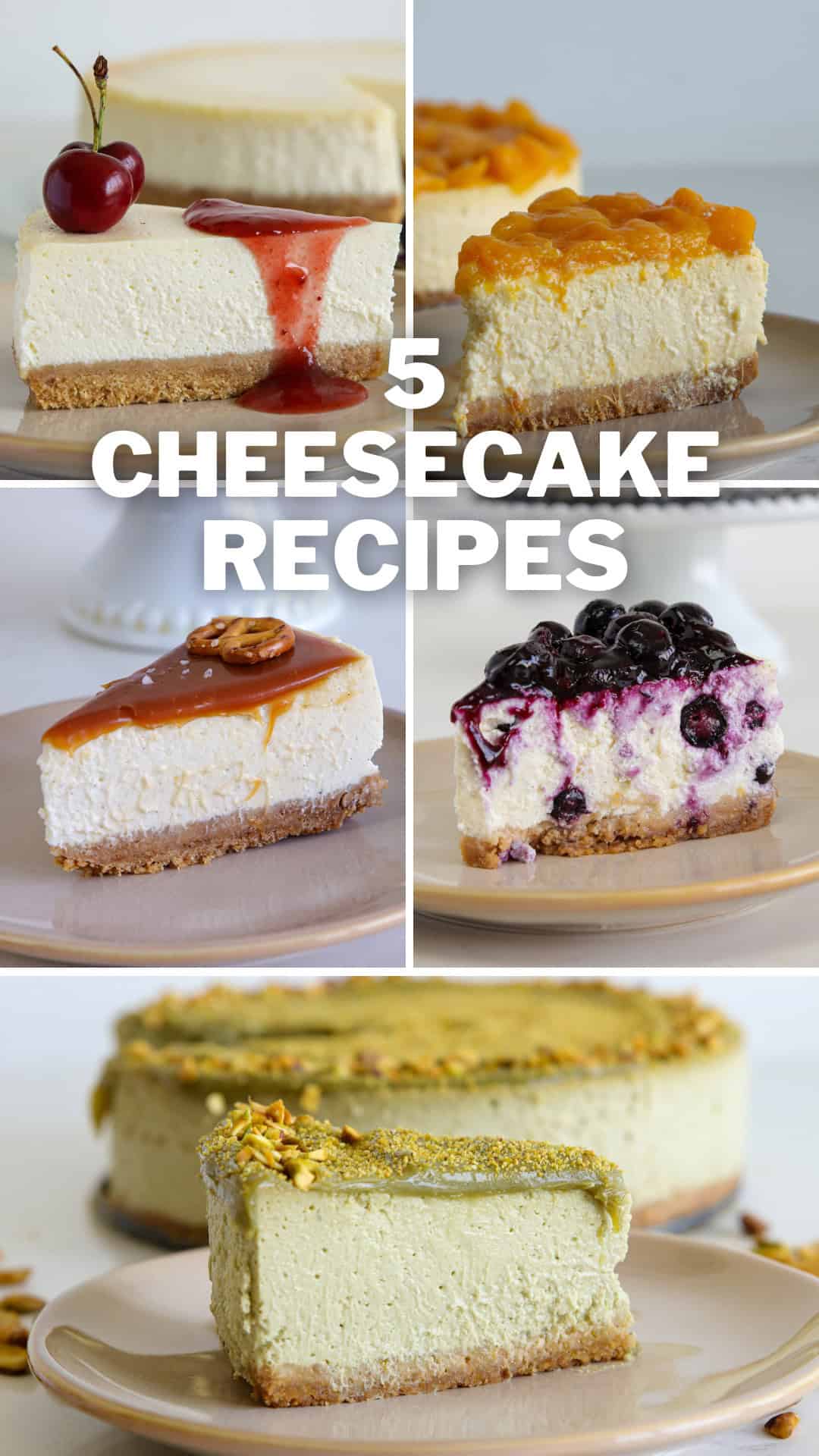 5 Best Cheesecake Baked and No Bake Options